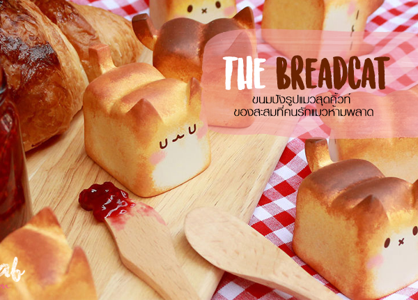 the bread cat Archives - JEAB.com