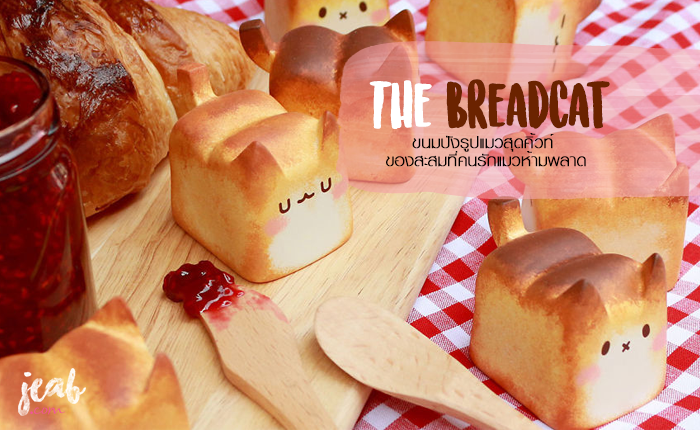“The BreadCat” ขนมปังรูปแมวสุดคิ้วท์ ของสะสมที่คนรักแมวห้ามพลาด - JEAB.com
